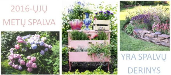 Paskelbta 2016 metų spalva - tiksliau jų derinys