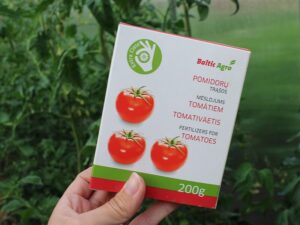 Mano pomidorų ligos: kas atsitiko ir kaip juos gelbėju - Geltonas Karutis