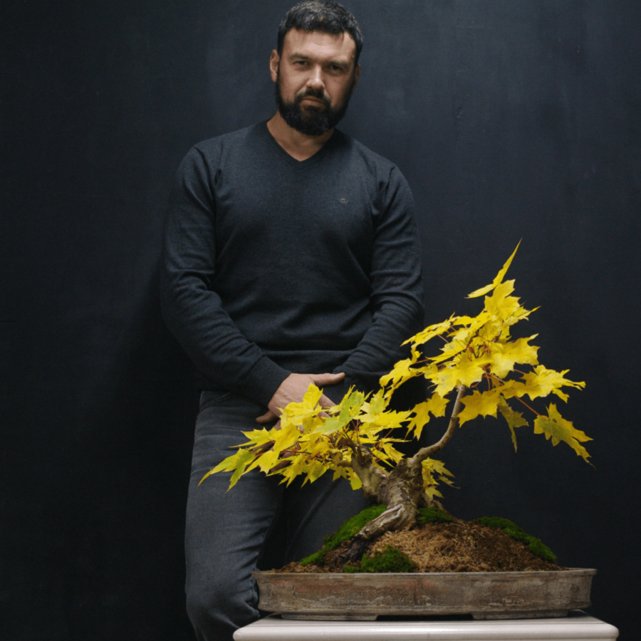 Bonsai ir niwaki dirbtuvės - Geltonas Karutis